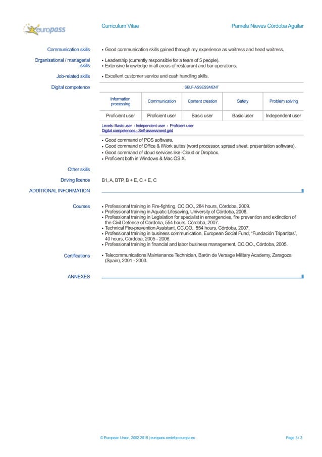 CV-Pam-English | PDF