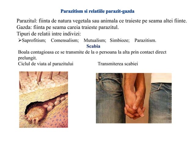 Partajare_pediculoza_scabie.pptx