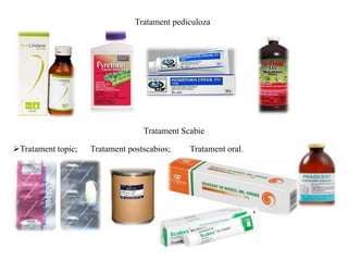 Partajare_pediculoza_scabie.pptx