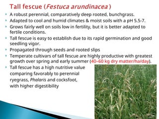 Fodder Crop Genetic Resources in Temperate Areas | PPT