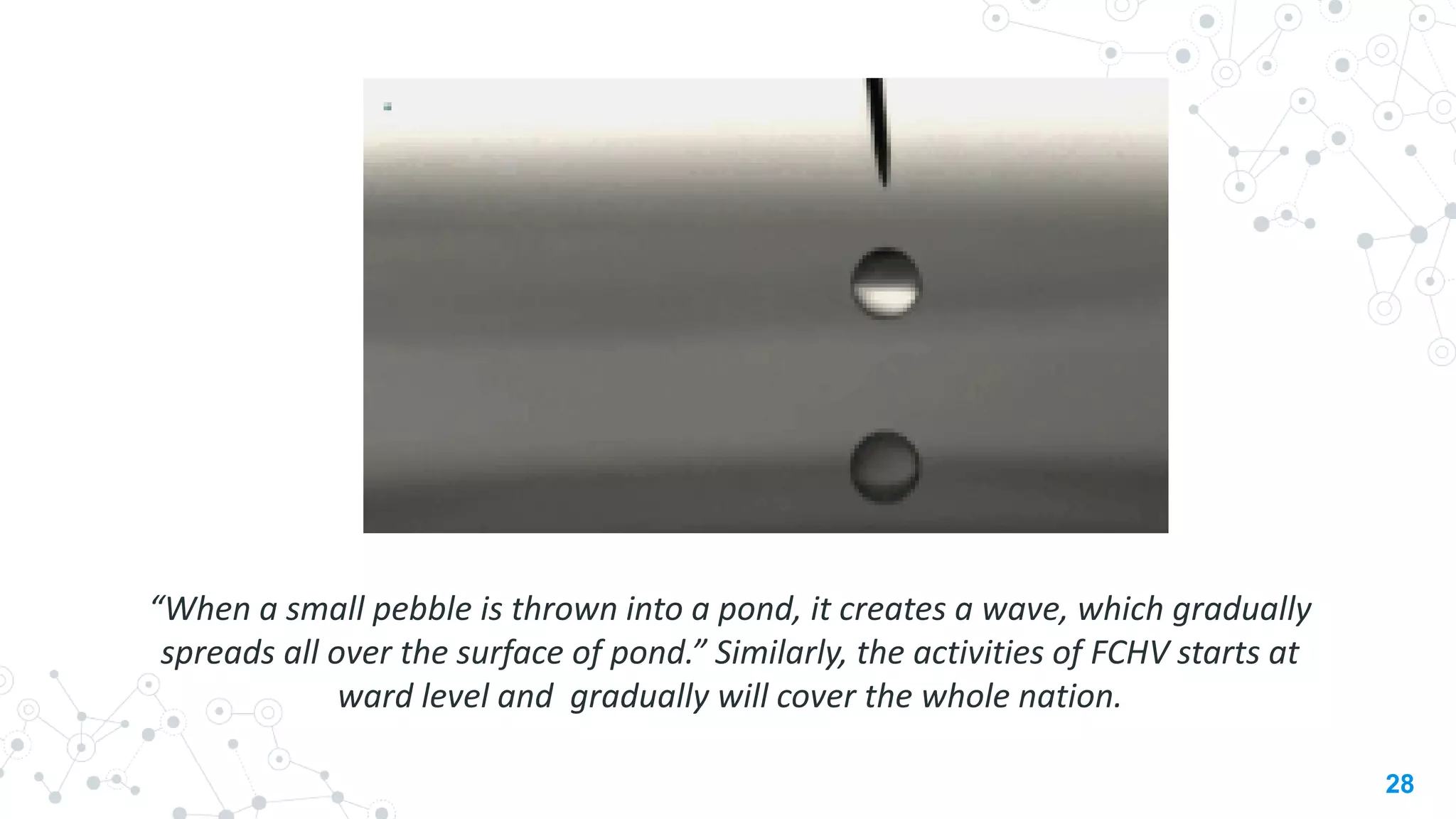 Female Community Health Volunteers (FCHVs) | PDF