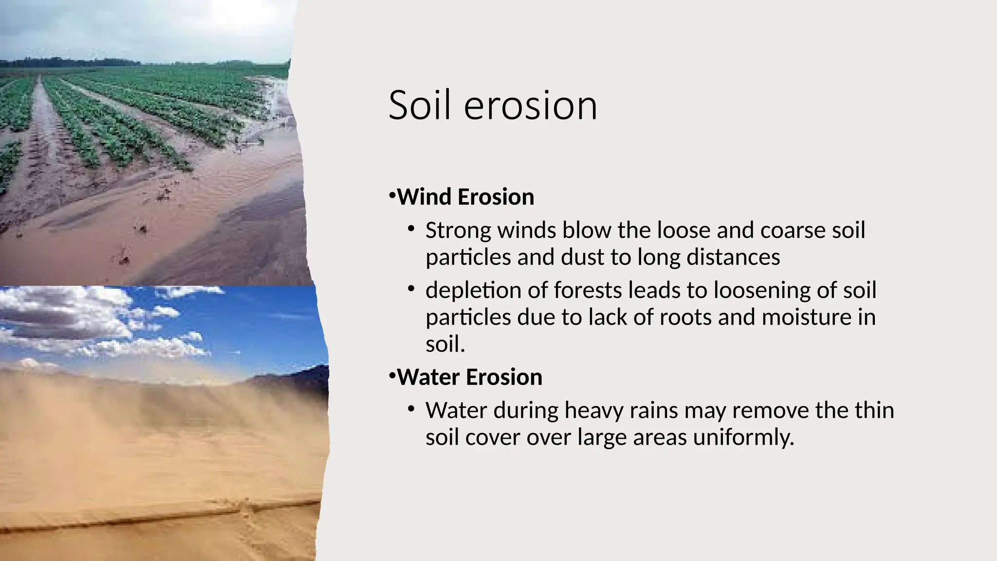 Environment Degradation , Types of Pollution, Disaster Management | PPTX