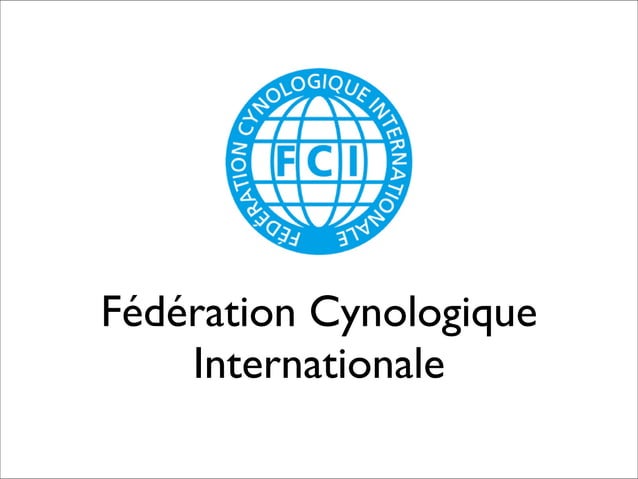 FCI slideshow | PDF
