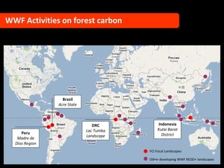 WWF Forest Carbon (Liliana) | PPT