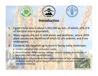 Egypt Country Report | PPT