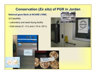 Jordan Country Report | PDF
