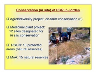 Jordan Country Report | PDF