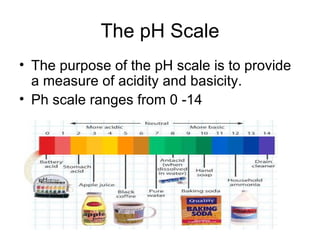 CLASSIFICATION OF MATTER | PPT