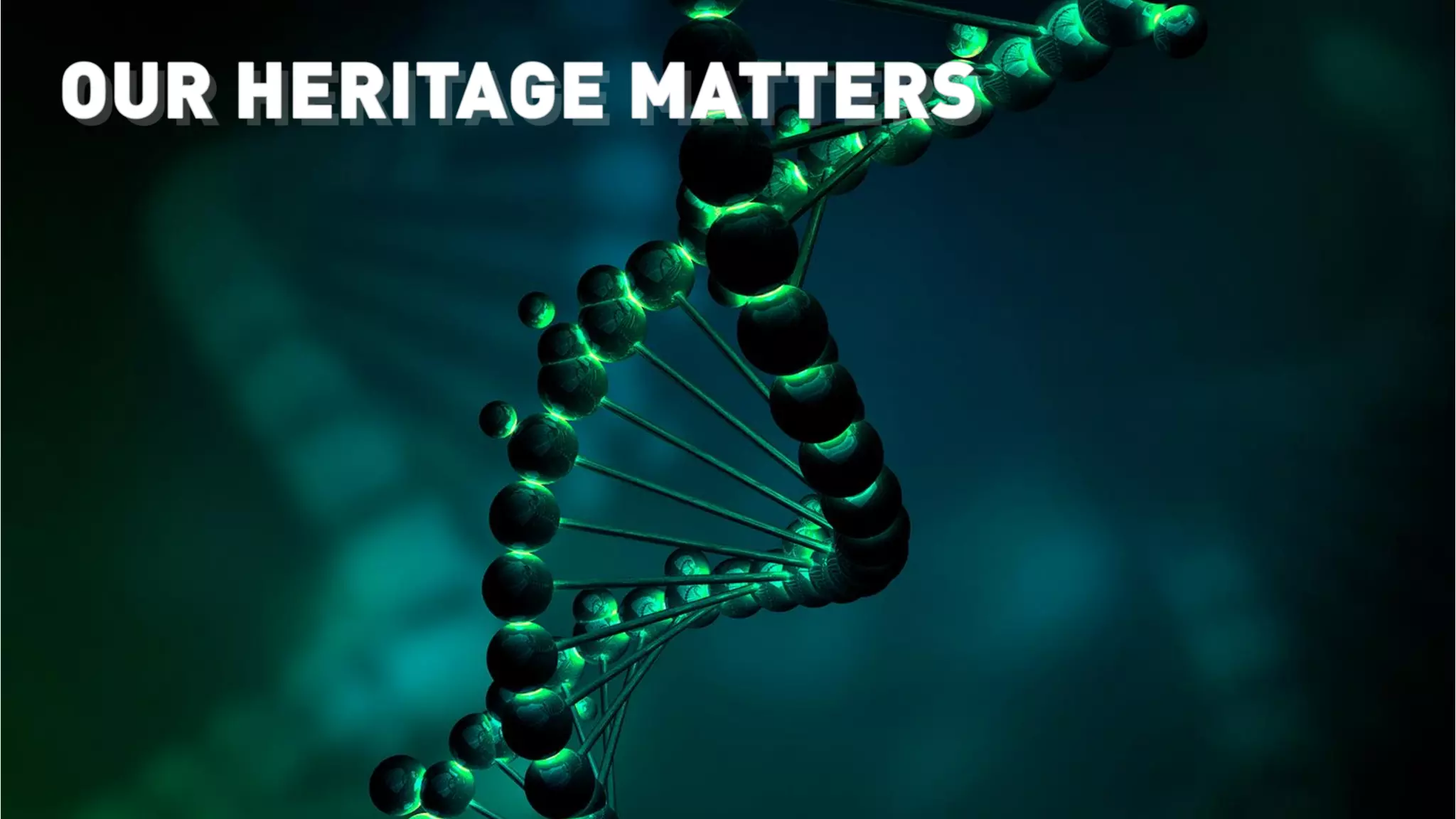 The Human Point | PPT