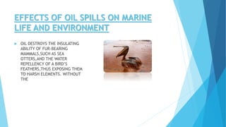 Water pollution | PPT