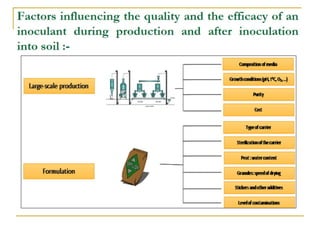 Fco specification of biofertilizers | PDF