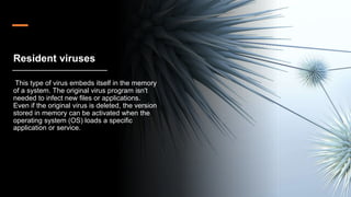 FCS Presentation.pptx