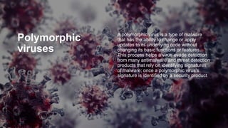 FCS Presentation.pptx