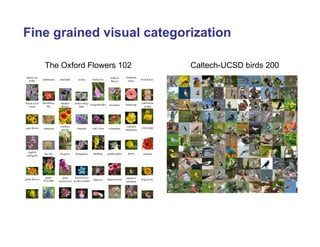 Fcv dataset zisserman_1 | PDF