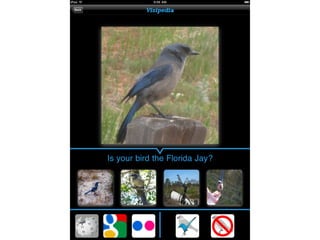 Fcv the revolution will be curated: human in the loop fine grained visual categorization using ...