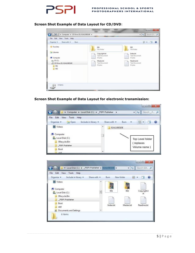 PSPI Guidelines for 2016-2017 | PDF