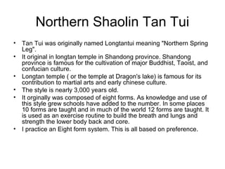 Northern Shaolin Tan Tui | PPT