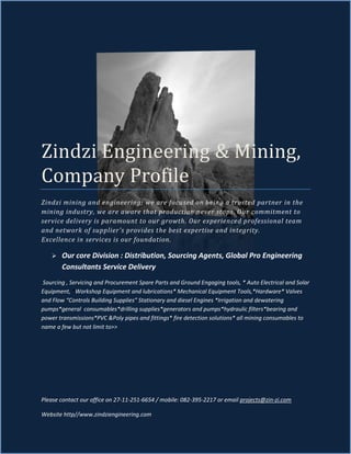 Zindzi Mining & Engineering Company Profile | PDF