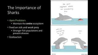 FD2_KG_SharksAndRays 2021.pptx