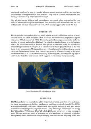 Malayan Tapir Endangered Species Report Jamie Thrush V2 | PDF