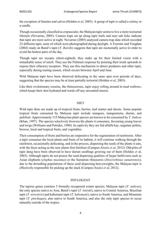Malayan Tapir Endangered Species Report Jamie Thrush V2 | PDF