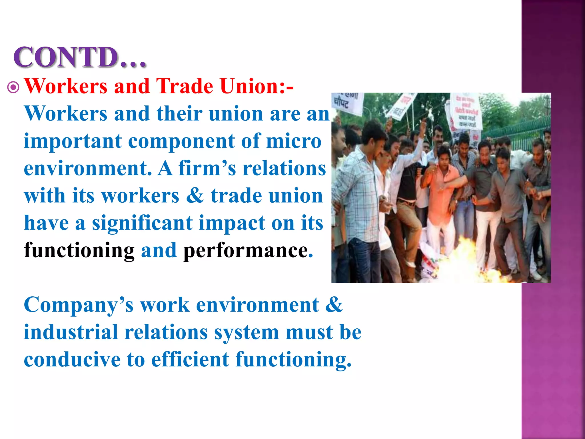 MICROENVIRONMENT FACTORS | PPTX