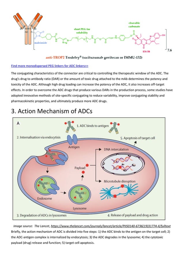 FDA Approved Antibody-Drug Conjugates (ADCs) By 2024 | PDF