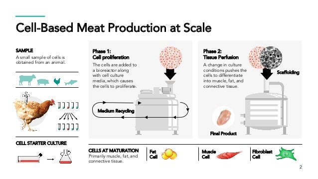 Comments at the FDA Science Board Meeting on Cell-Based Meat
