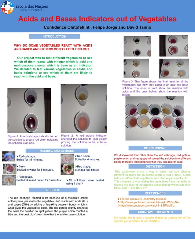 Science Fair Poster - Acids and Bases Indicators out of vegetables | PDF
