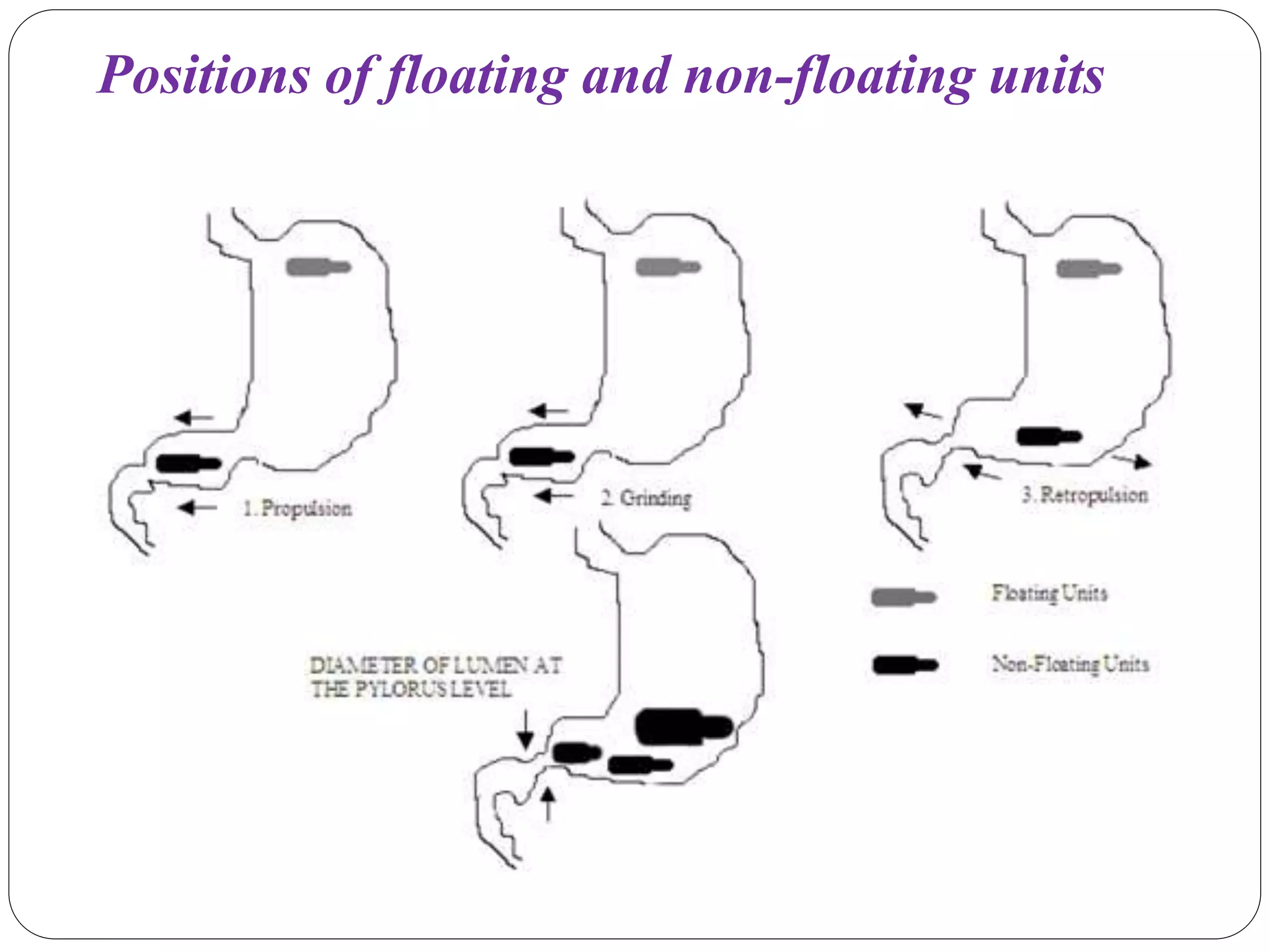 Floating Drug Delivery System(FDDS).pptx