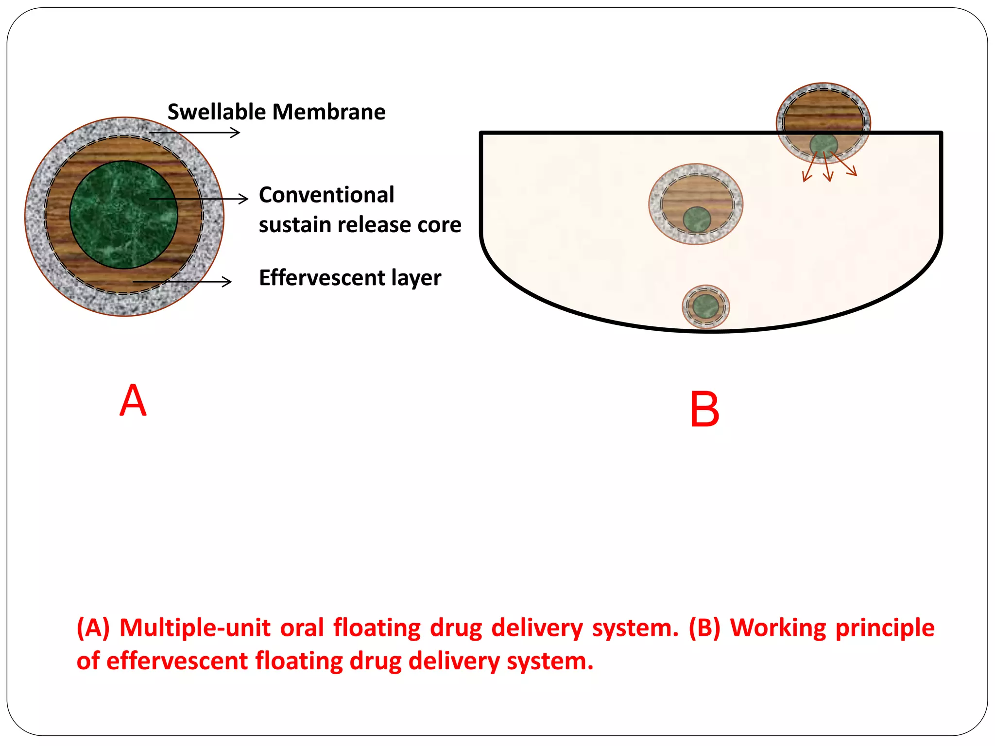 Floating Drug Delivery System(FDDS).pptx
