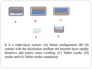 Floating Drug Delivery System(FDDS).pptx