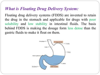 Floating Drug Delivery System(FDDS).pptx