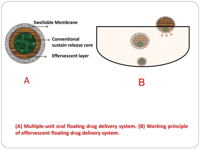 Floating Drug Delivery System(FDDS).pptx