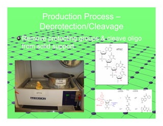Oligo Presentation | PDF