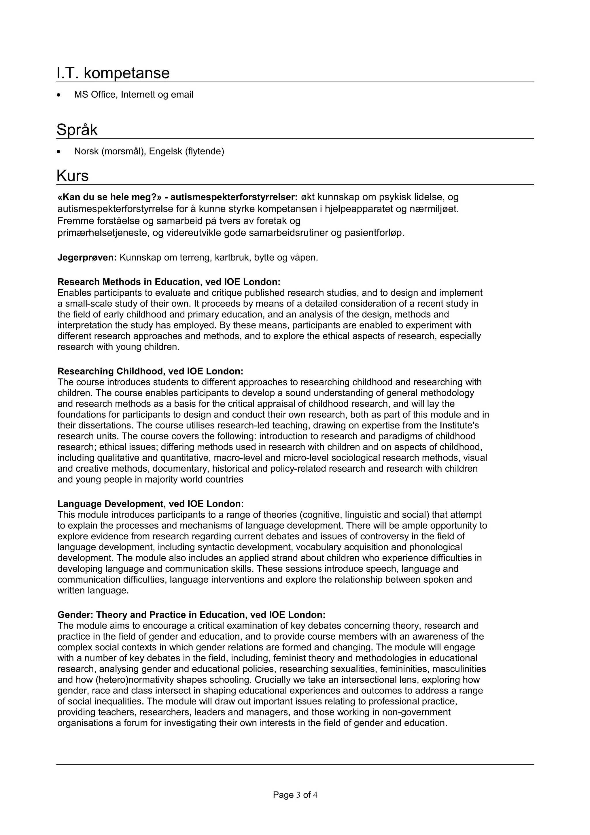 CV-Stine-English | DOC