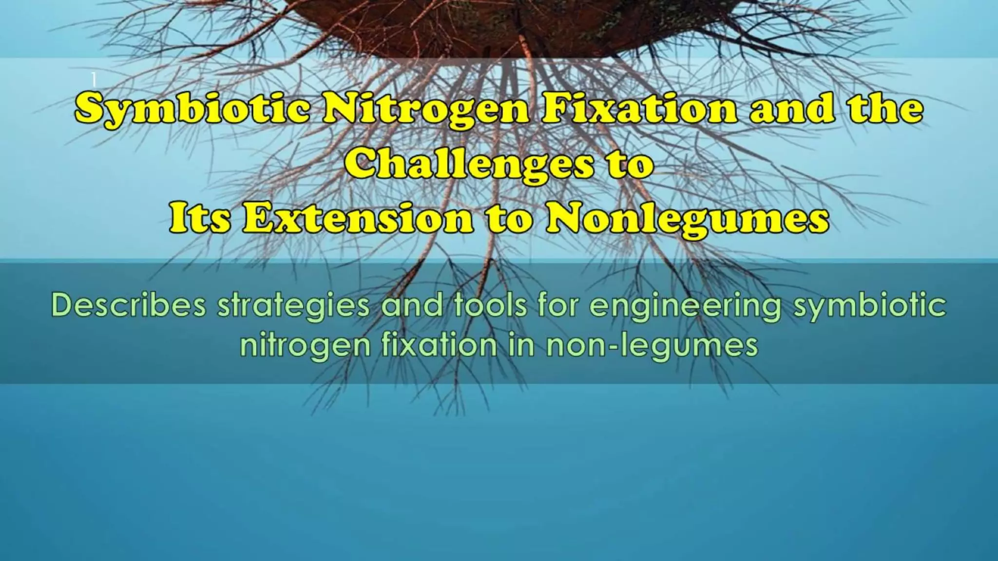 symbiotic N fixation & challenges to extension to N | PPTX