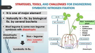 symbiotic N fixation & challenges to extension to N | PPTX
