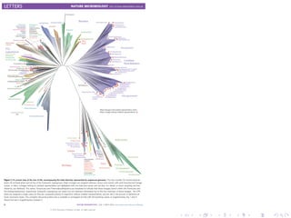 llllllllllllllllllllllllllllllllllllllllllllllllllllllllll | PPT