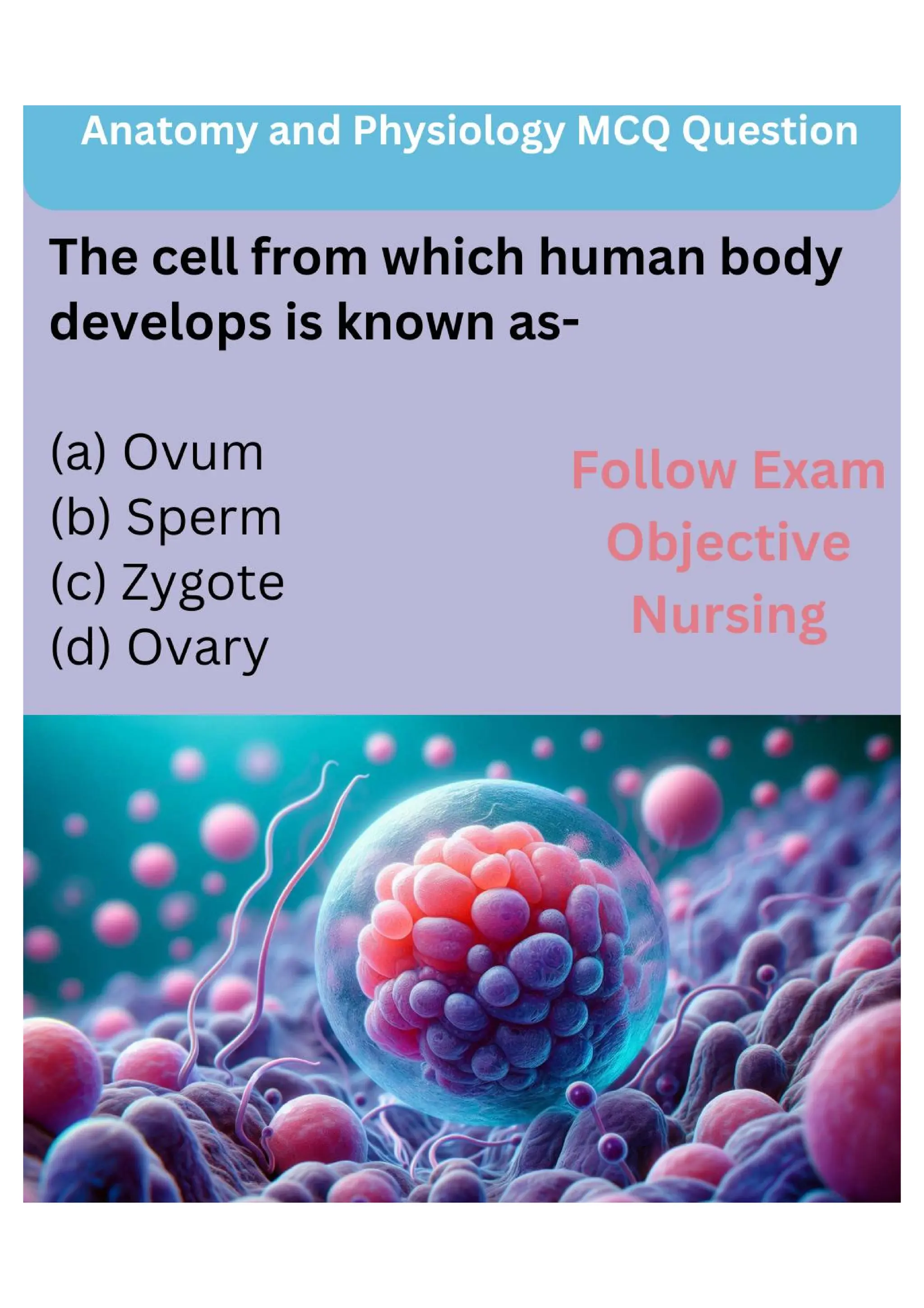 Nursing MCQ Question Set-39 from Exam Objective | PDF