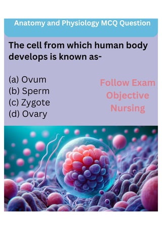 Nursing MCQ Question Set-39 from Exam Objective | PDF