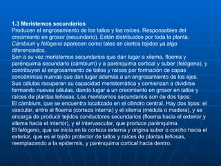 tejidos animales y vegetales | PPT