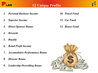 FDI Business Plan | PDF