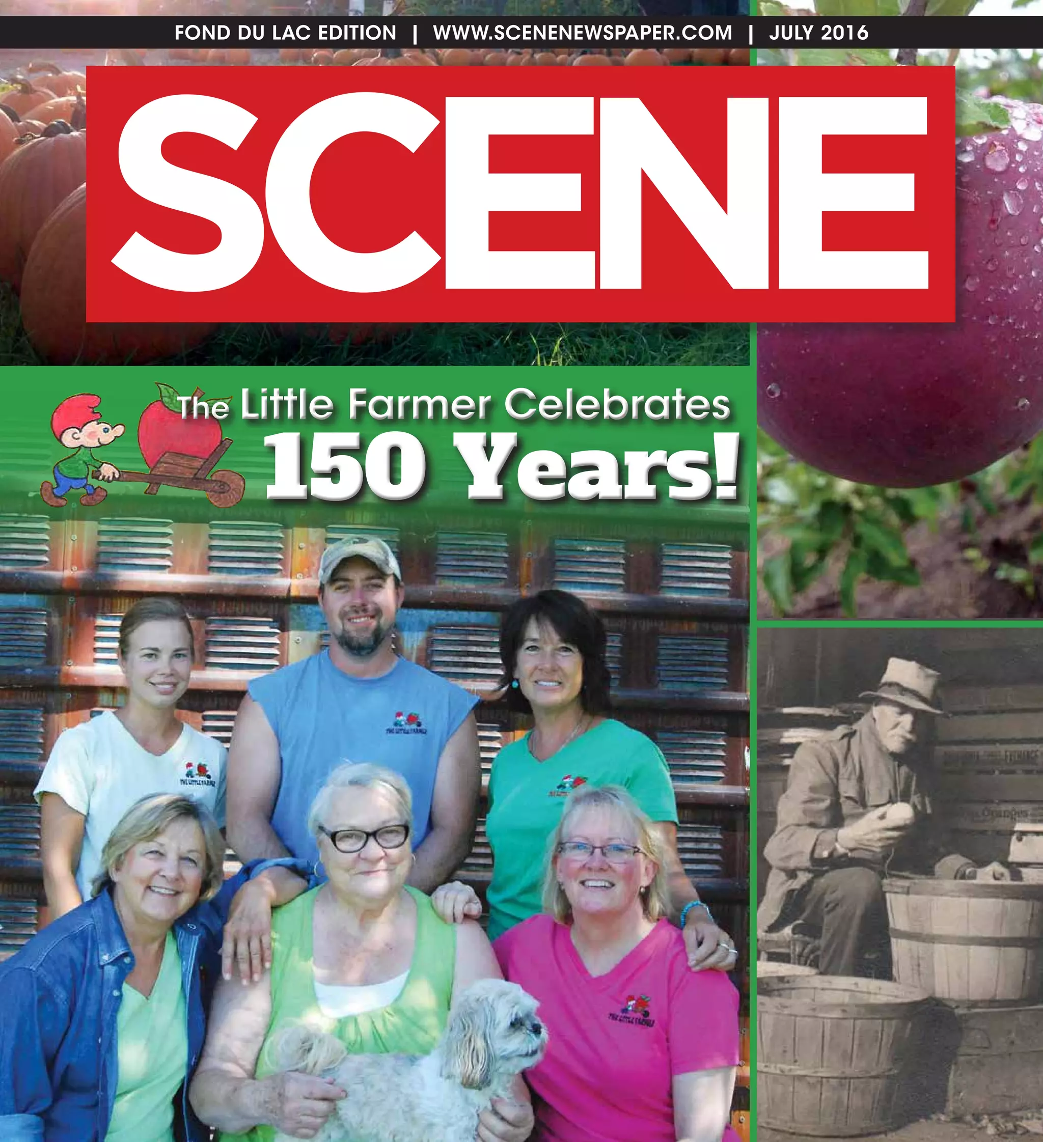 Fd jul scene | PDF
