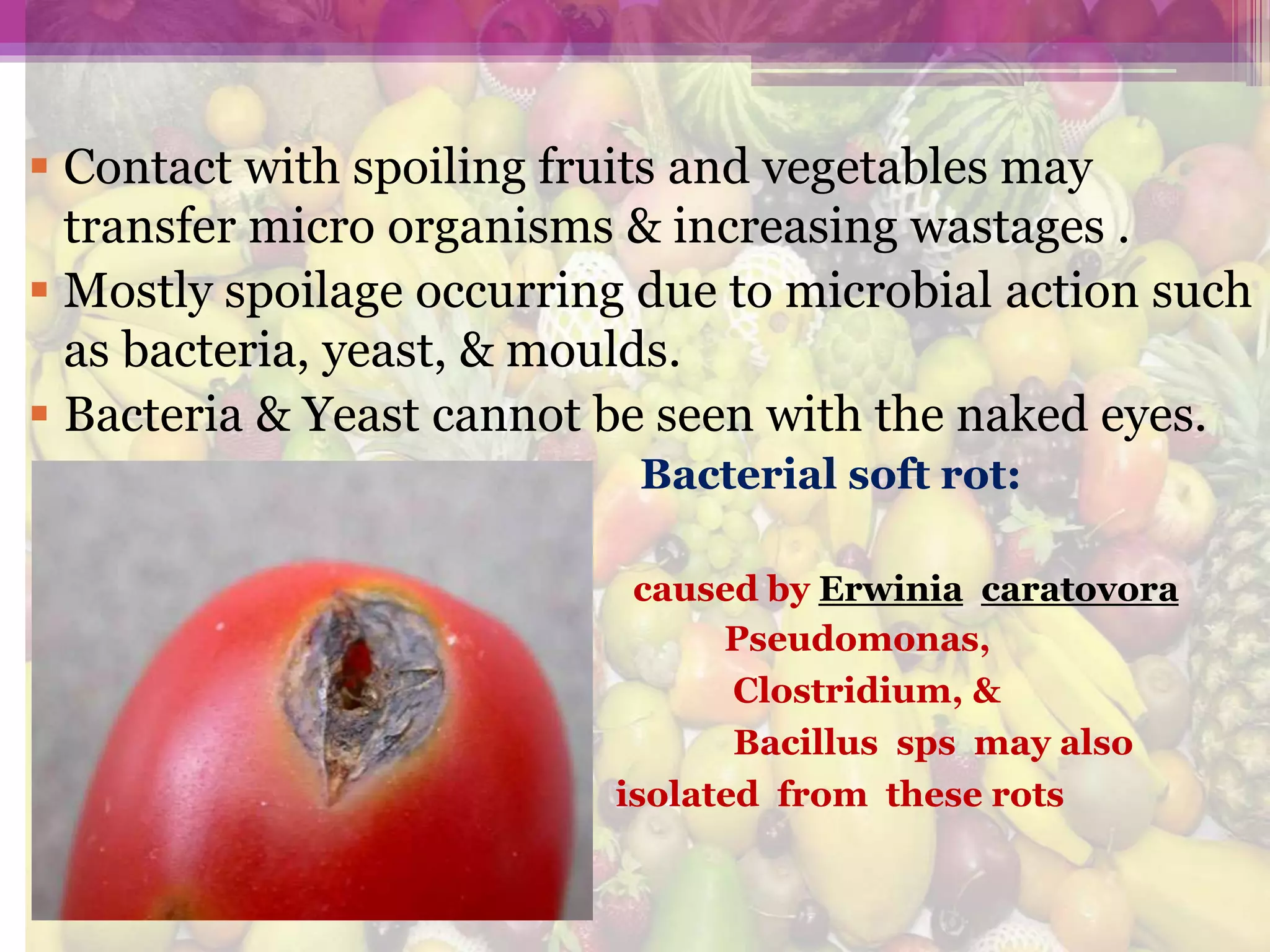 Contamination, Spoilage and preservation of Fruits and Vegetables | PPTX