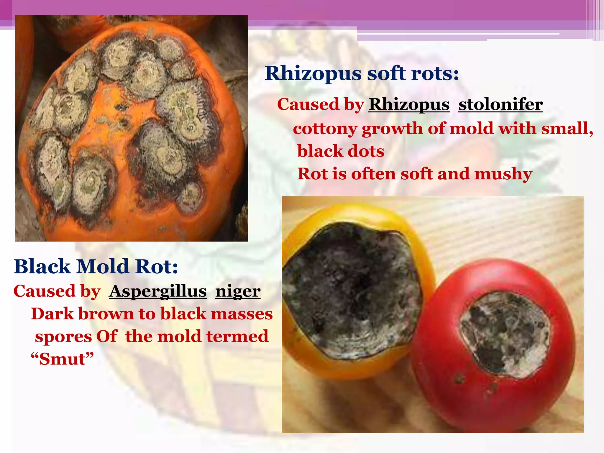 Contamination, Spoilage and preservation of Fruits and Vegetables | PPTX