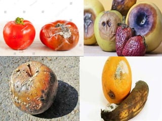 Contamination, Spoilage and preservation of Fruits and Vegetables | PPTX