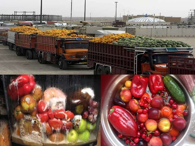 Contamination, Spoilage and preservation of Fruits and Vegetables ...