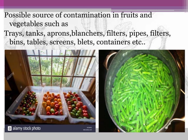 Contamination, Spoilage and preservation of Fruits and Vegetables ...