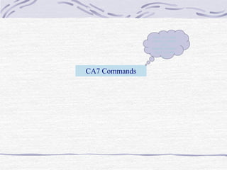 CA 7-final-ppt | PPT